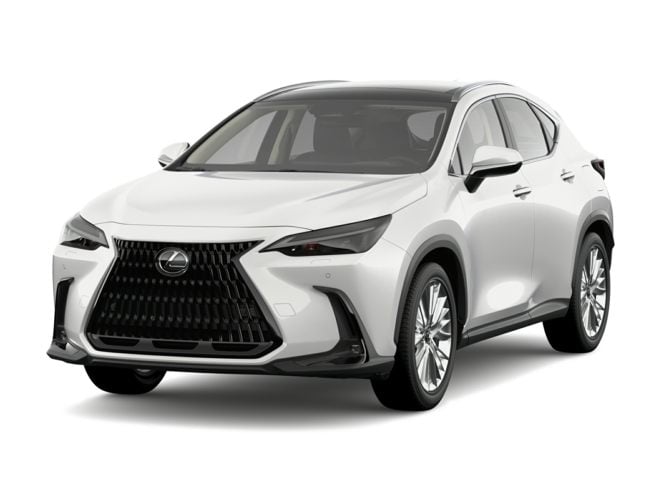 2022 Lexus NX Pictures