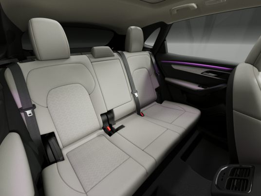 2025 VinFast VF 8 Pictures