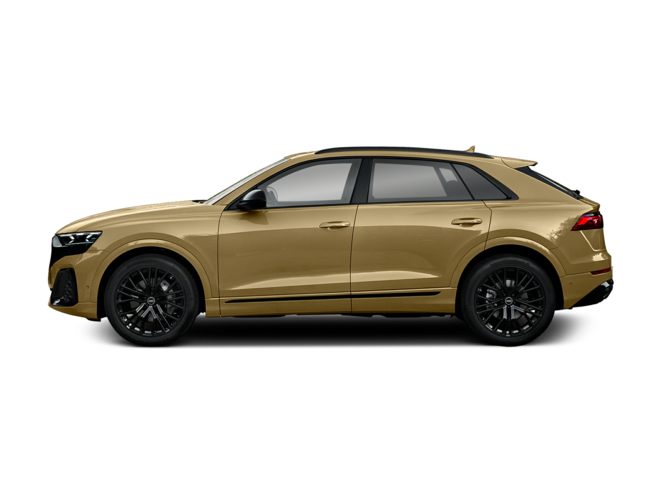 2025 Audi Q8 Pictures
