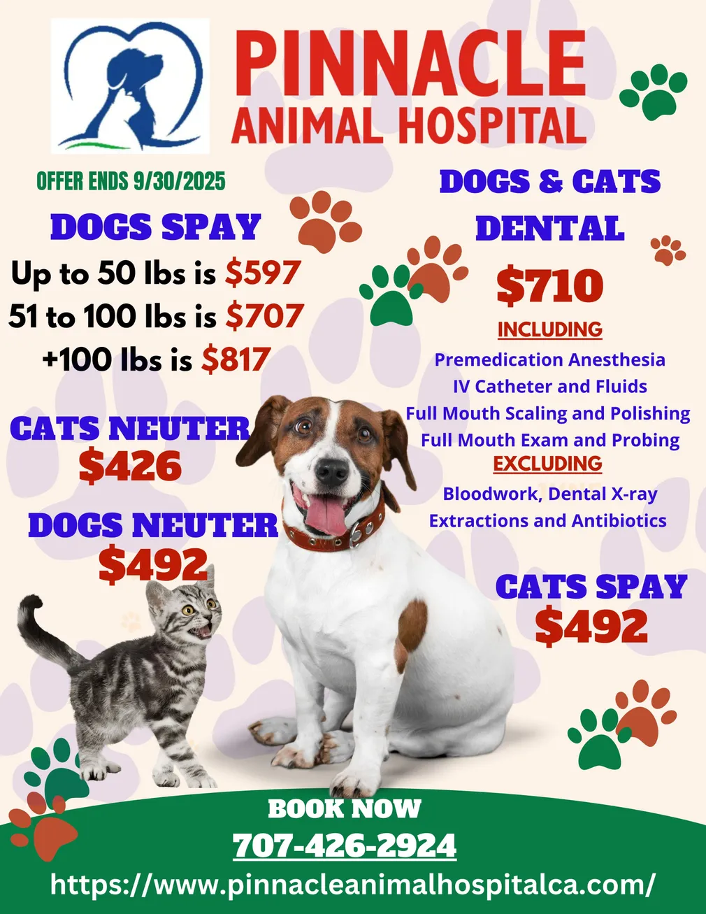 Pinnacle Animal Hospital - Veterinarian in Suisun City, CA