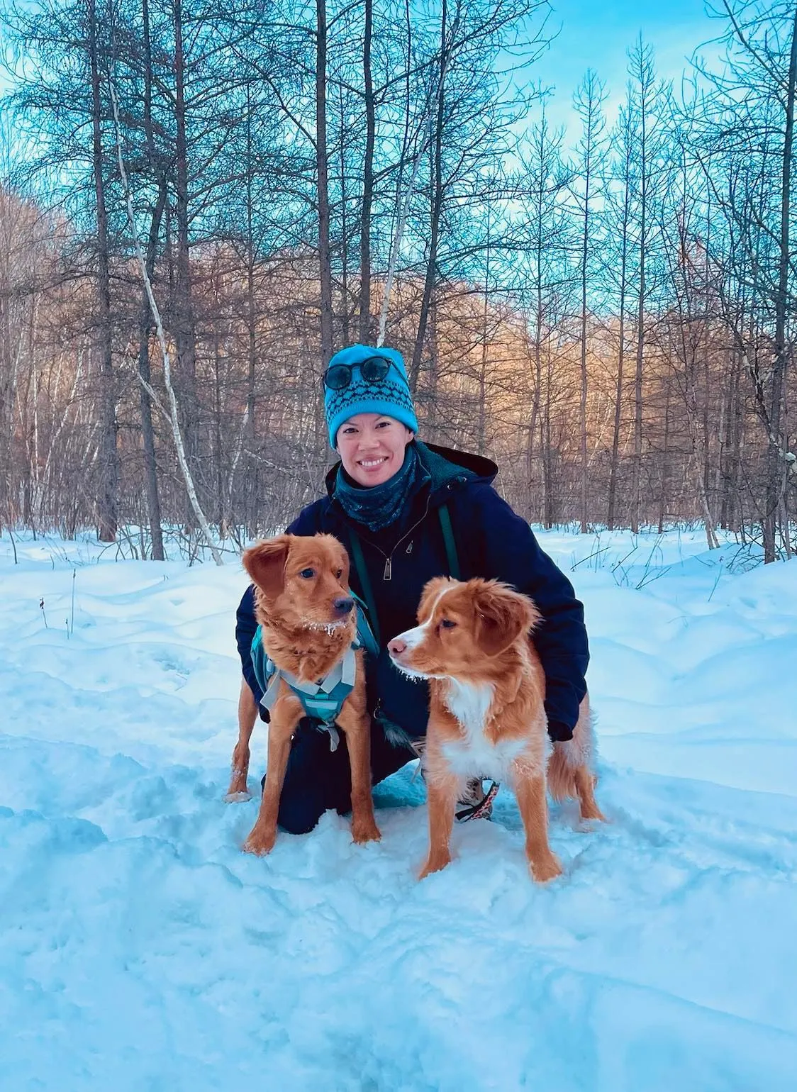 Higley Road Pet Clinic - Veterinarian in Gilbert, AZ