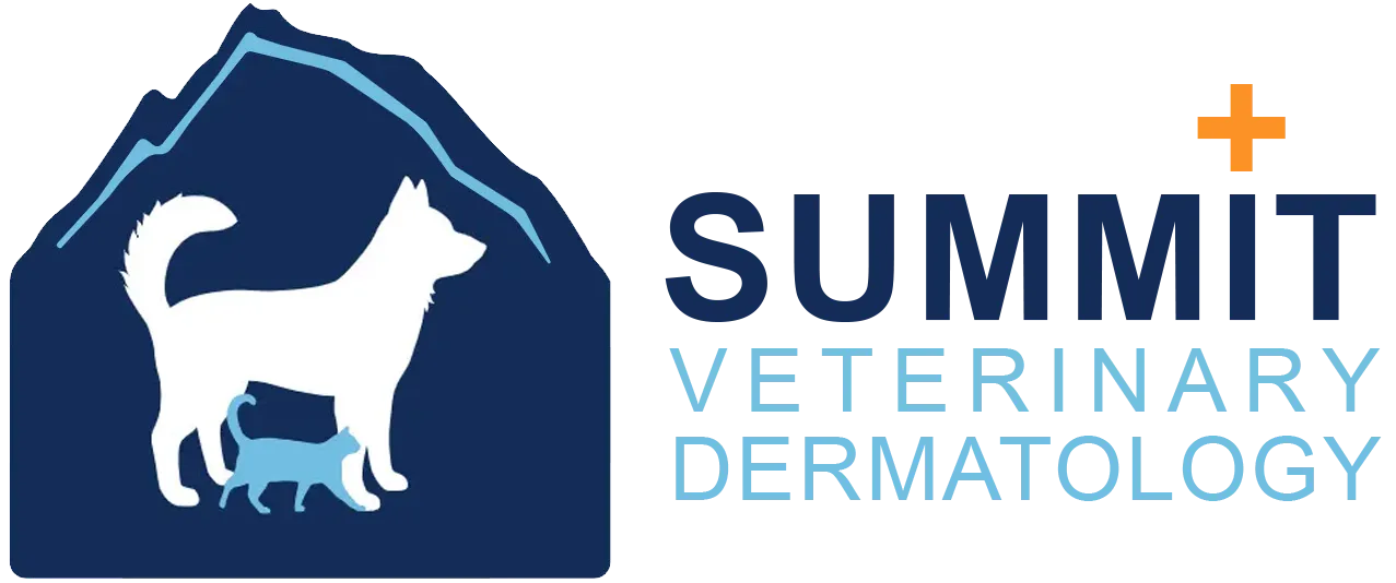 Meet Our Veterinarian in Danville, CA | Summit Veterinary Dermatology