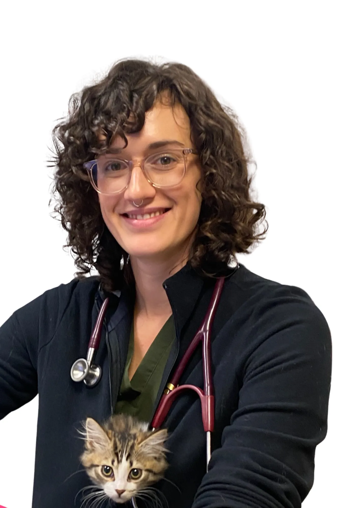 Twin Cities Animal Rehabilitation and Sports Medicine Clinic ...