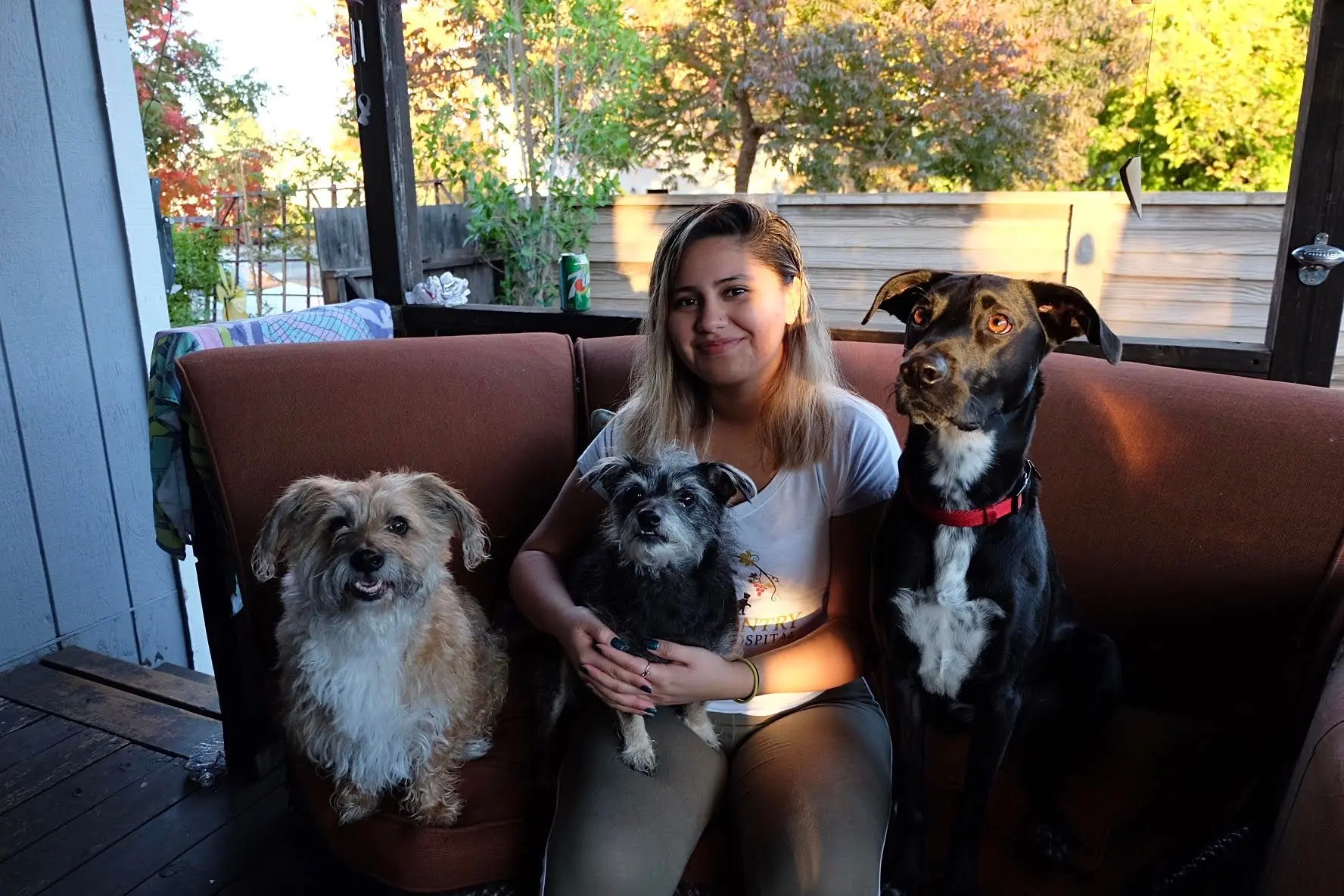 Wine Country Veterinary Hospital - Veterinarian In Windsor, CA USA ...