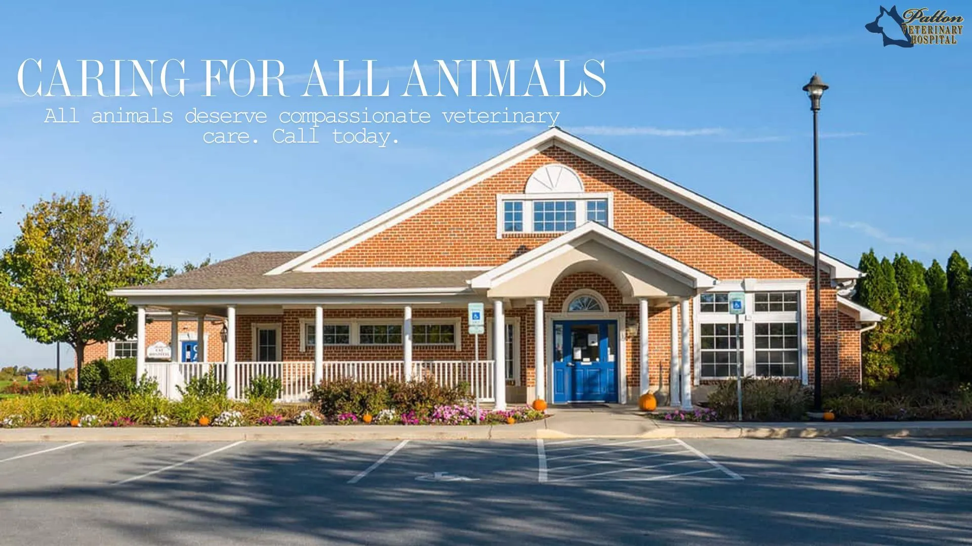 Veterinarian in Red Lion, PA | Patton Veterinary Hospital