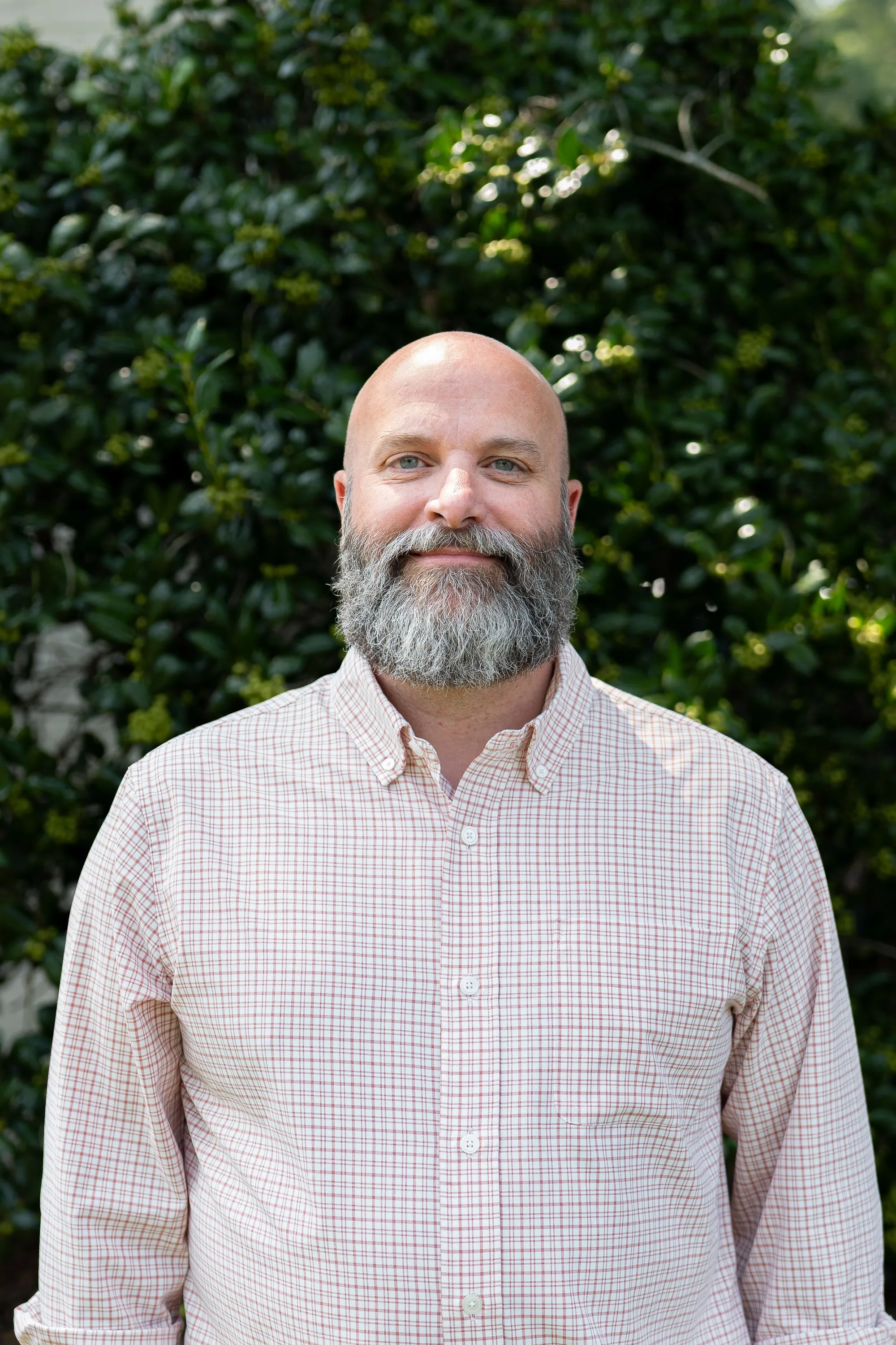 Veterinarian in Charlotte, NC | Cotswold Animal Hospital