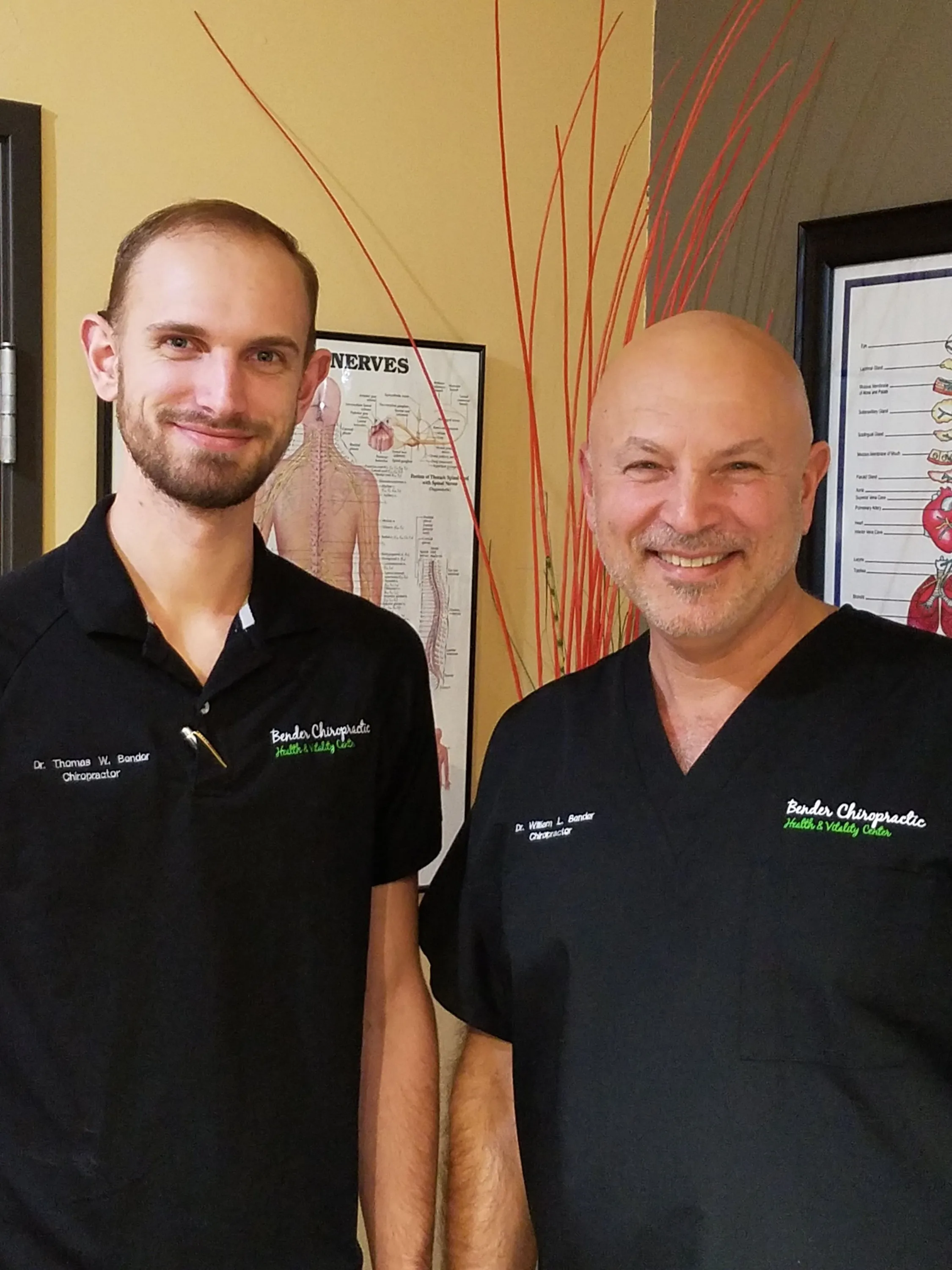Home | Chiropractor in Clinton Township, MI | Bender Chiropractic ...