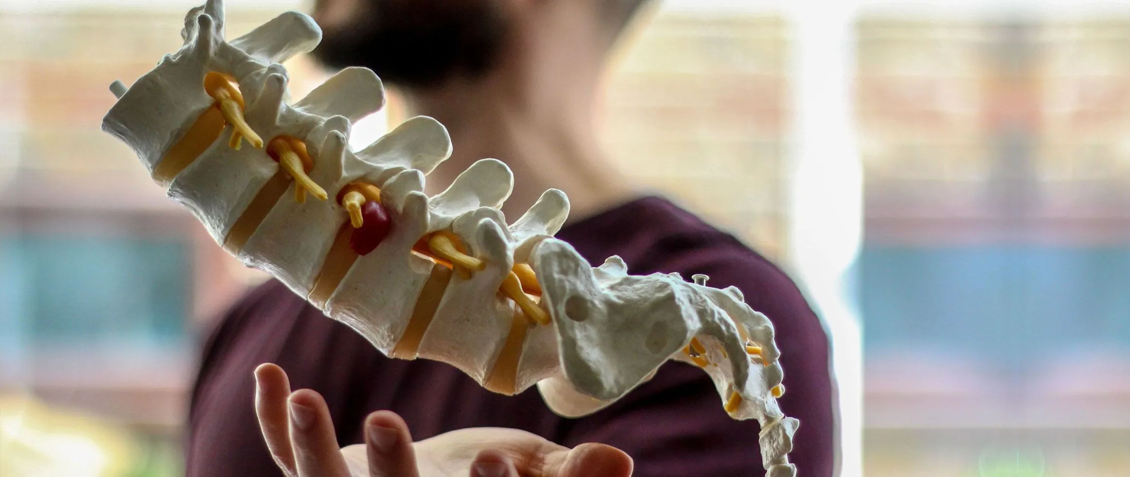Chiropractor in | Welcome To Our Practice in | Grant Vlasin