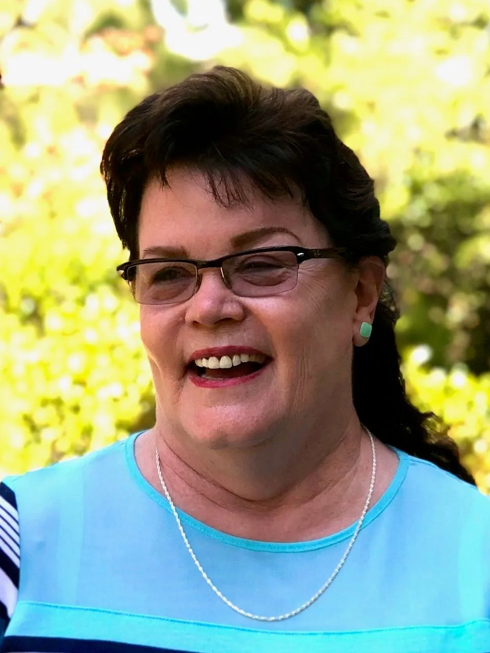 Home | Optometrist in Grass Valley, CA | Chan Family Optometry