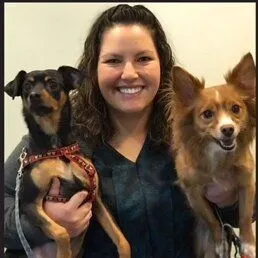 Veterinarian in Marysville, WA | Cascade Veterinary Center, PS