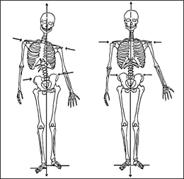 How Does NUCCA Work in Creve Couer, MO | Delta Spinal Care