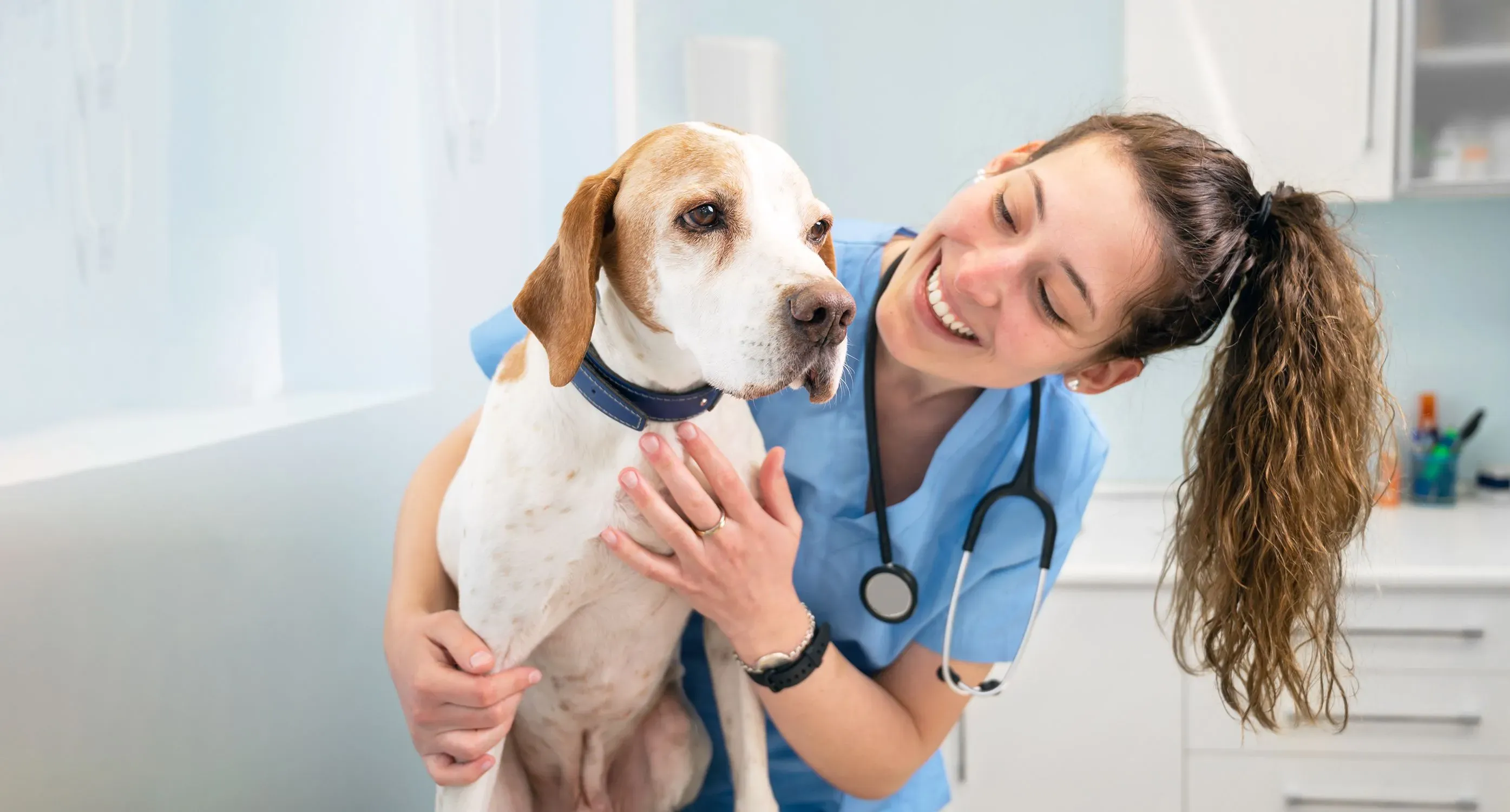 Home | Veterinarian in Peoria, AZ | West Valley Animal Hospital