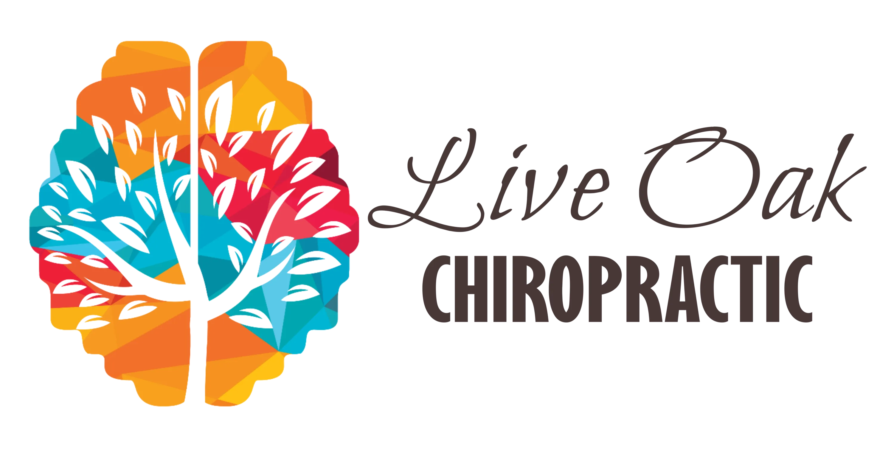 Chiropractor in Hinesville | LOC Wellness Blog in Hinesville | Live Oak ...