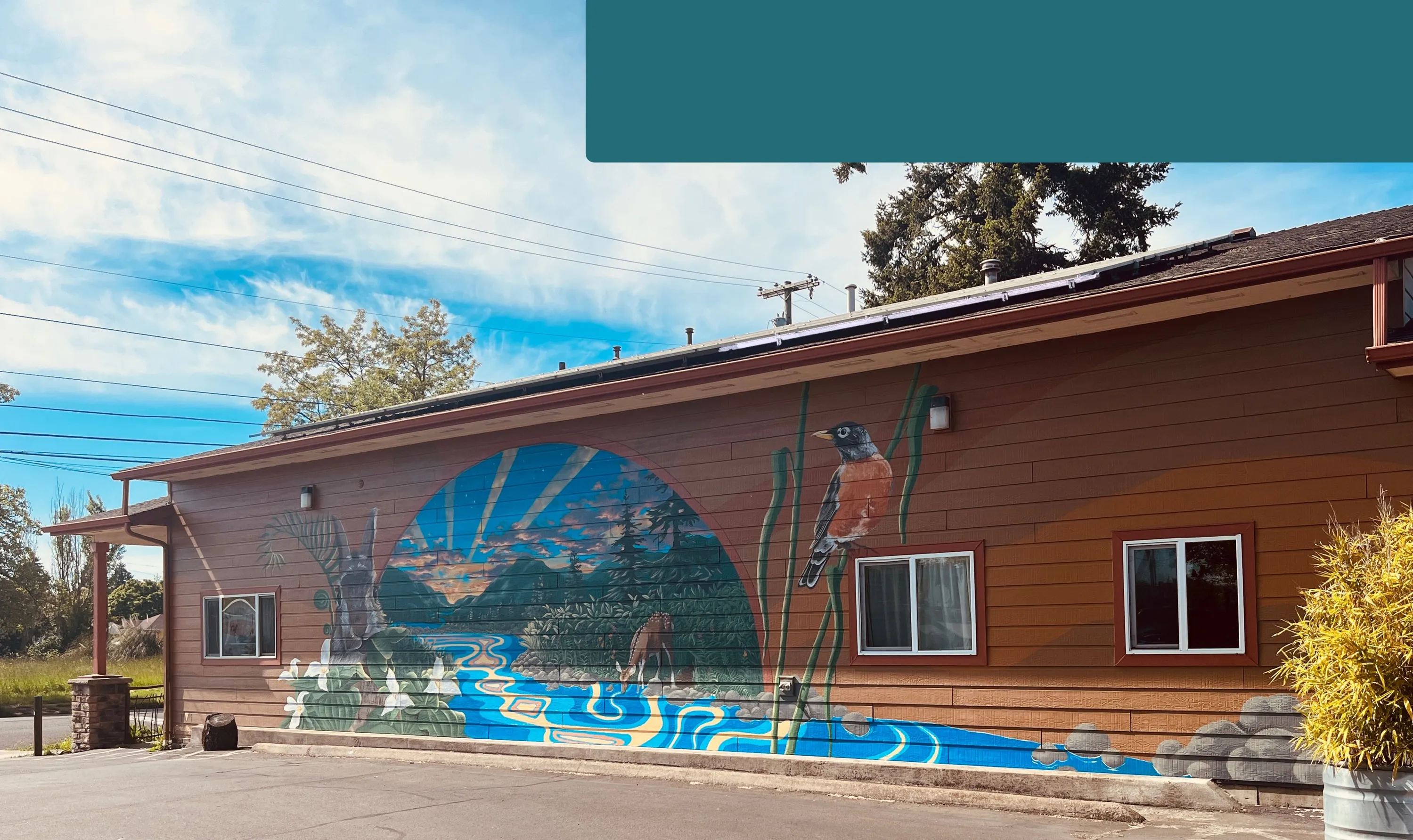 Albany Animal Hospital, Inc. - Veterinarian in Albany, OR US