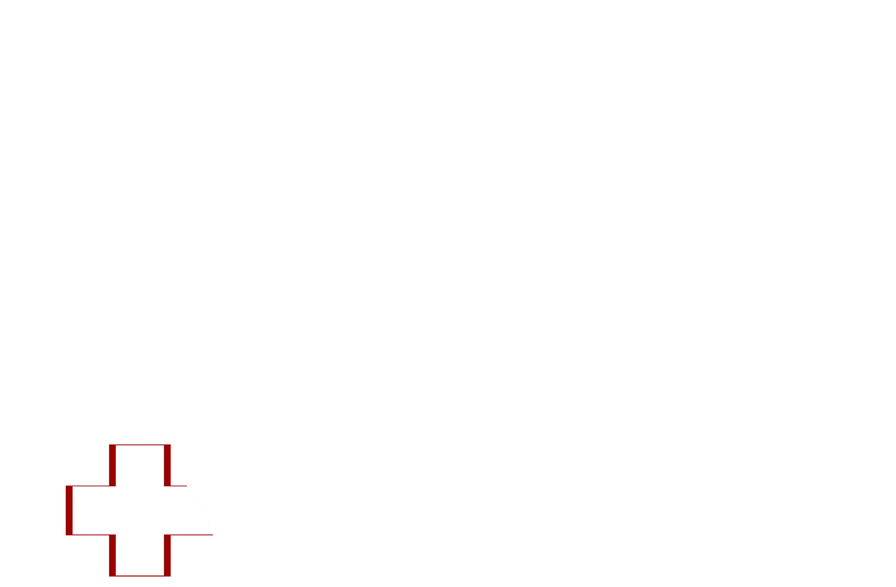 Nebraska Equine Veterinary Clinic - Equine Veterinarian in Omaha, NE US ...