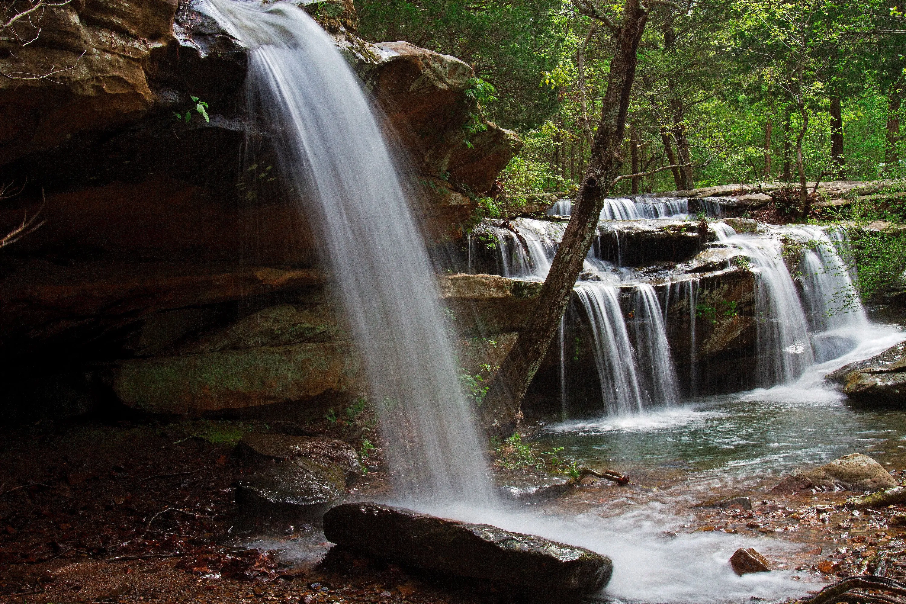 Intentional Connections Psychotherapy