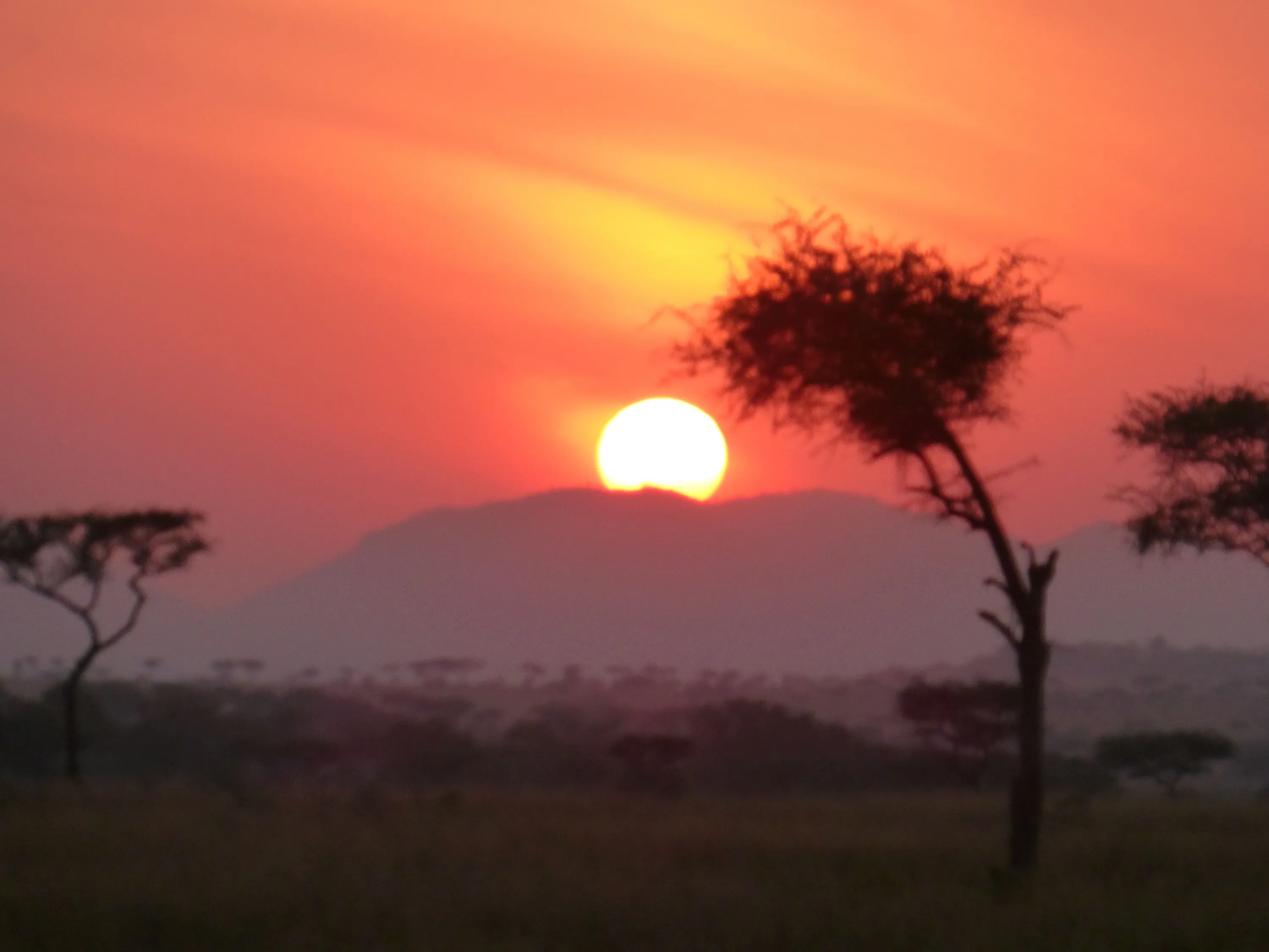 Harry W. Saperstein, M.D. - Beverly Hills, CA Dermatologist