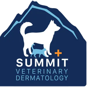 Veterinarian in Danville, CA | Summit Veterinary Dermatology