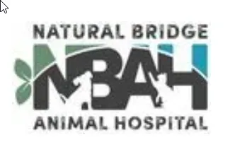 Heartworm FAQs | Veterinarian in Natural Bridge Station, VA | Natural ...