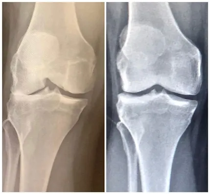 Consultation Integrated Medicine In Charlottesville, VA | Scott Wagner ...