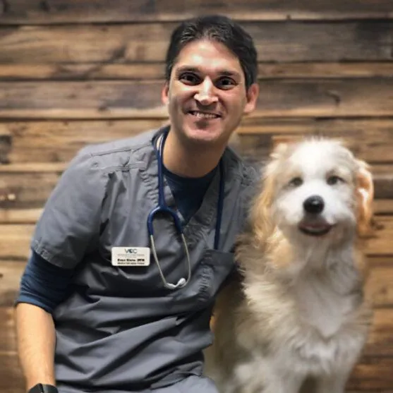 Veterinarian in Chesterfield, MO | Veterinary Care Center