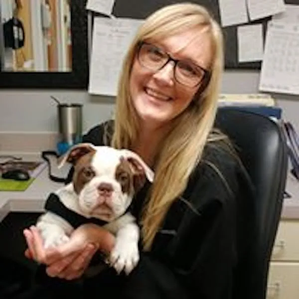 Largo Veterinary Hospital Veterinarian In Largo Florida :: Home