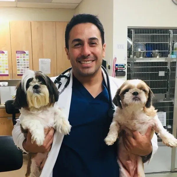Dr. Arman | Veterinarian in Danville, CA | Oak Tree Animal Hospital