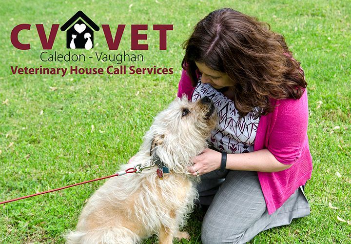 Home | Veterinarian in Bolton, ON | Caledon-Vaughan Veterinary House ...