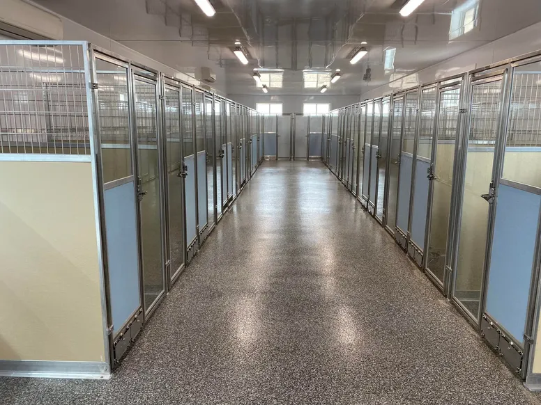 Spring Valley Veterinary Clinic - Veterinarian in Spring Valley, MN US