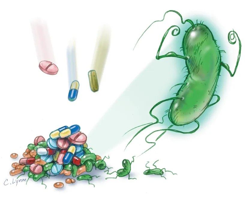 Right Bug - Right Drug: Antibiotic Resistance | Veterinarian in Orlando ...