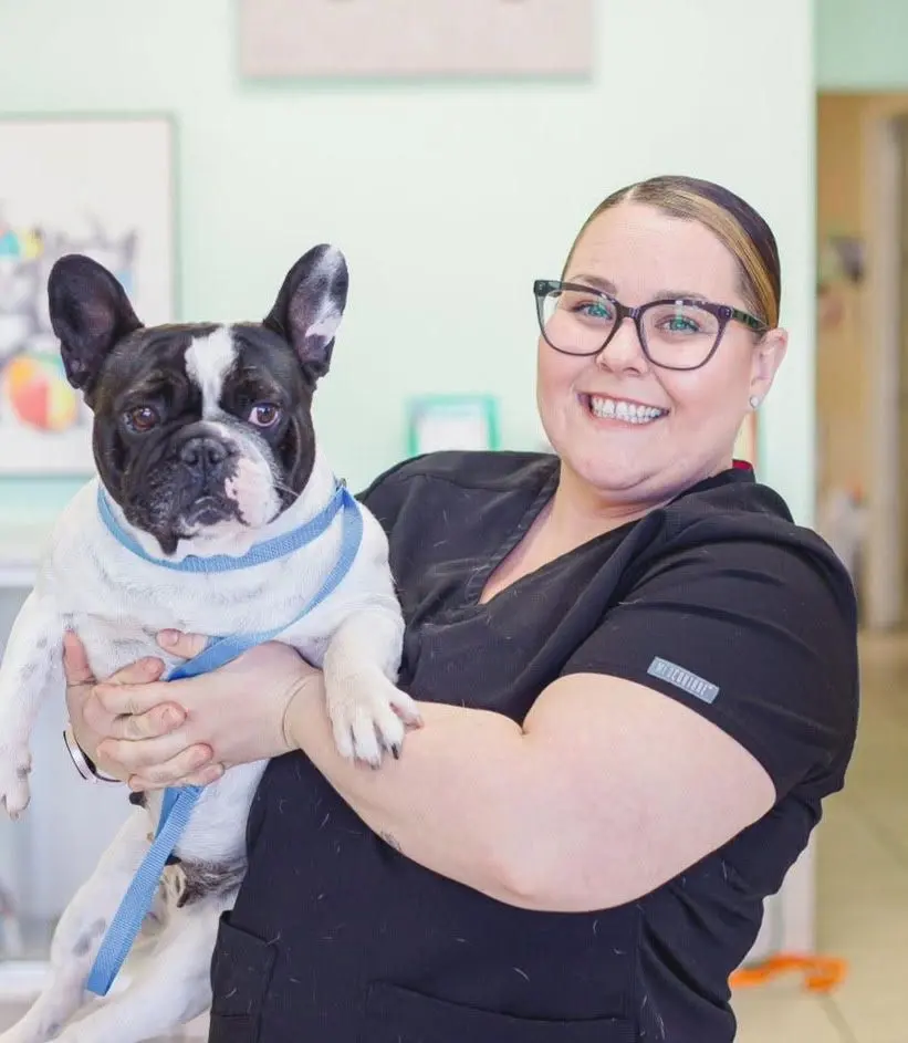 Meet the Team | Veterinarian in Tracy, CA | Noble Pet Hospital