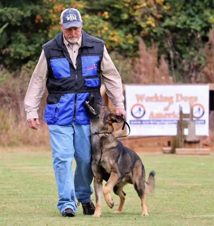 Sequoyah German Sheperds - German Shepherd breeder in Soddy Daisy, TN